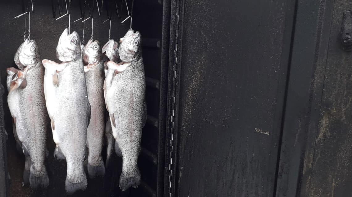 Forellen räuchern | Heißräuchern Anleitung vom Profi