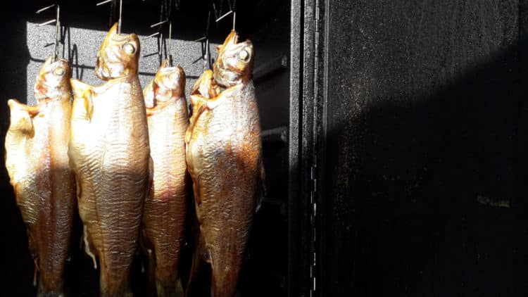 Forellen räuchern | Heißräuchern Anleitung vom Profi