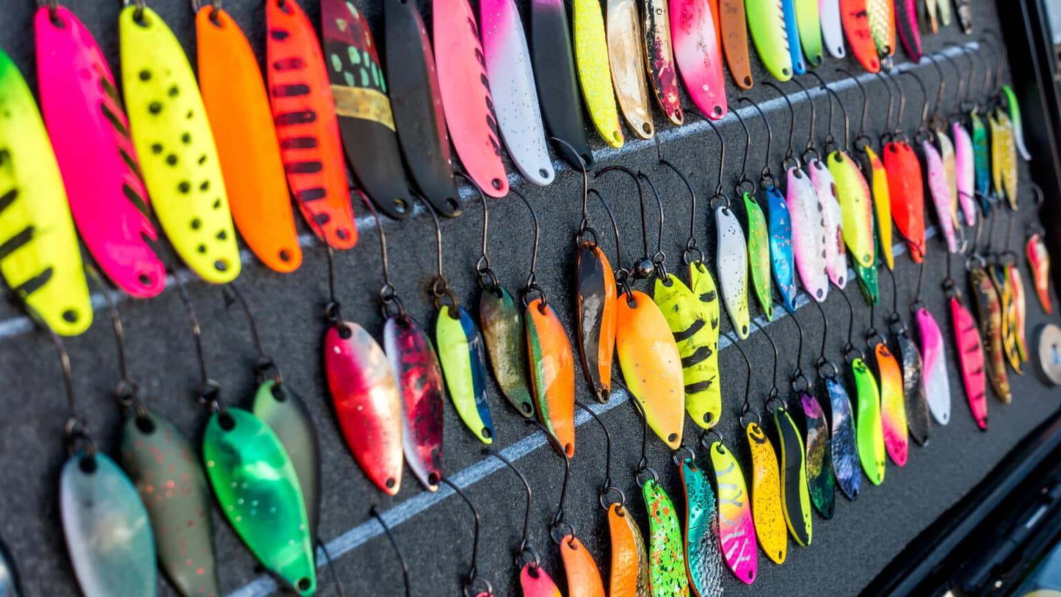 Angeln am Forellensee | Ratgeber für Anfänger und Fortgeschrittene